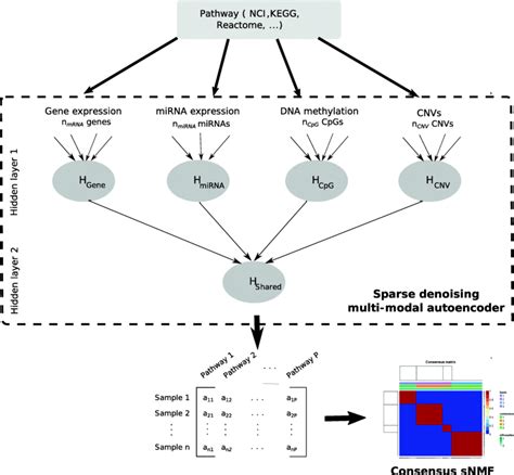 conceptual overview about our approach multi omics feature mapping to download scientific