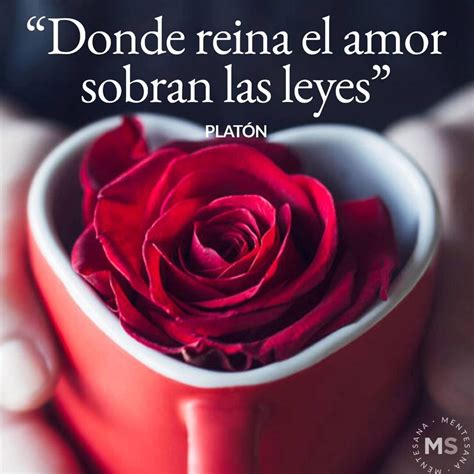 Poemas de ánimo para una amiga palabras que sanan el alma