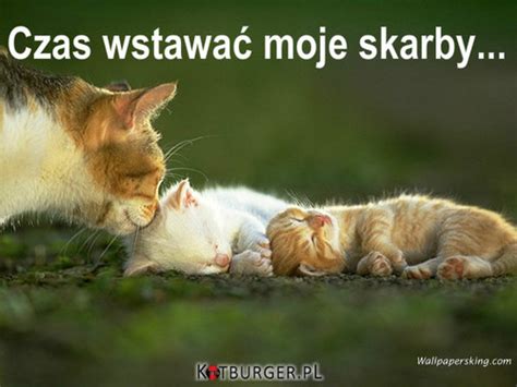 Osobowy Wkufionych Po Ajbowych Cz Strona Klub Senior Cafe