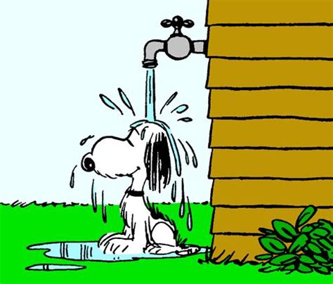 Snoopy Keeping Cool Snoopy Images Snoopy Happy Friendship