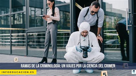 Ramas de la criminología un viajes por la ciencia del crimen