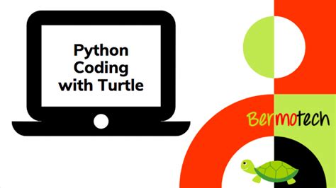 python with turtle bermotech