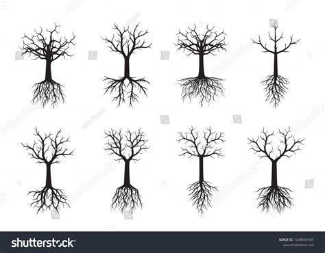 Set Black Naked Trees Roots Vector Stock Photo 1048547363 Shutterstock