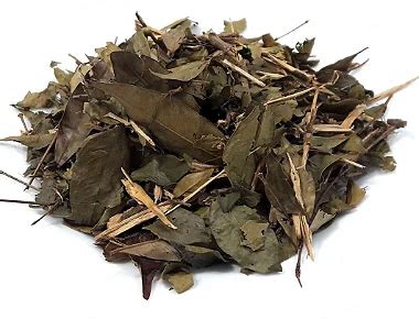 CHA PITANGA EUGENIA UNIFLORA 100G Malagueta Produtos Naturais