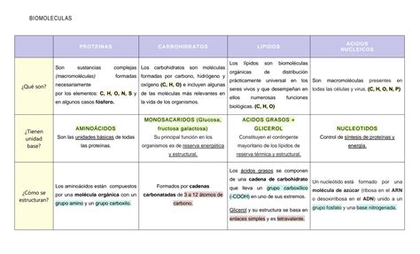 Solution Cuadro Comparativo Biomoleculas Studypool Porn Sex Picture