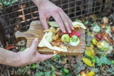 How To Make Compost At Home