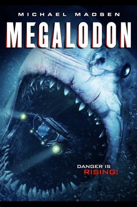Biggest Shark In The World Megalodon Caught On Tape