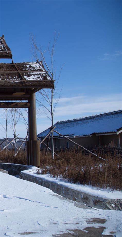 Mongolia Elements