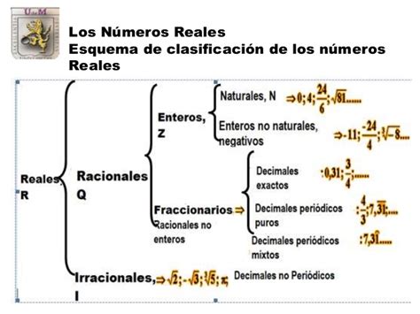 E Portfolio Matem Tica N Meros Reales