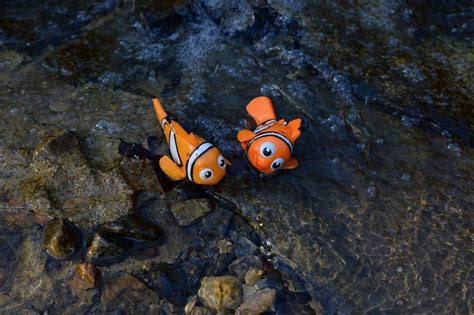 Finding Nemo Quotes Marlin
