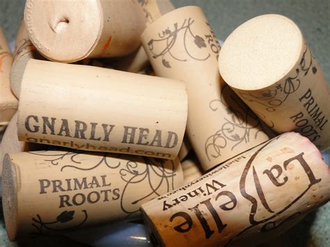 Sobre los tapones de las botellas de vino corcho sintéticos