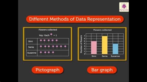 data representation pictograph and bar graph mathematics grade 2 periwinkle youtube