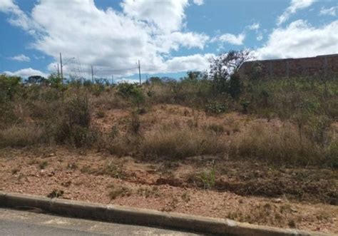 Terrenos Em Condom Nio Fechado Venda No Parque Dos Buritis Em Lagoa