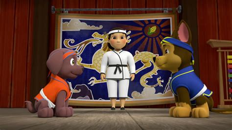 Ver PAW Patrol Patrulla De Cachorros Temporada 2 Episodio 19 PAW