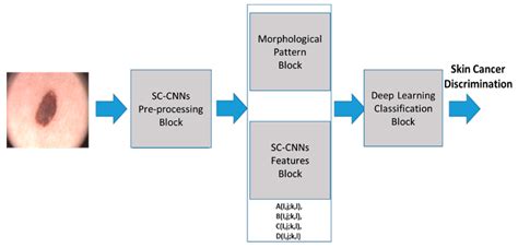 Computation Free Full Text Bio Inspired Deep CNN Pipeline For Skin