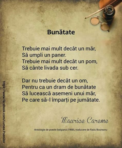 Pin Di Rusu Mihaela Su Poezii Citazioni