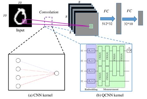 layout of cnn and qcnn the top half represents the overall structure download scientific