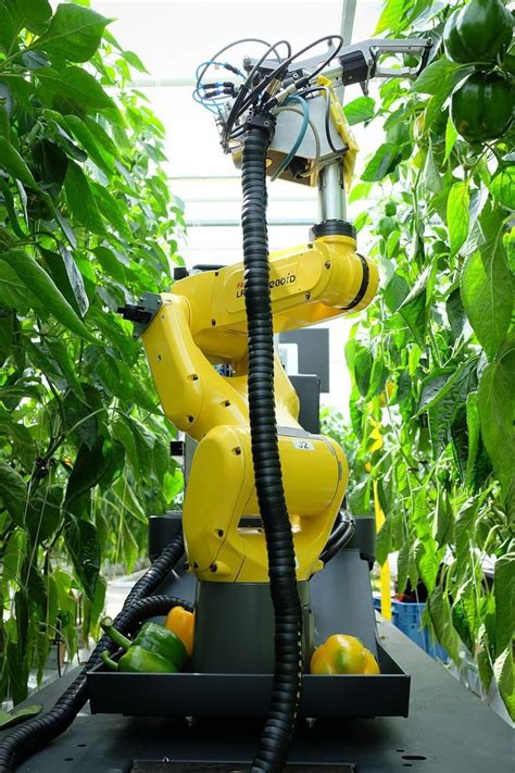 Pin By Mark Leen On Agriculture Vertical Farming Smart Farm Farming
