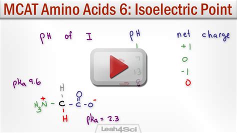 Isoelectric Point Of Amino Acids Tutorial Video With 3 Pka Shortcut