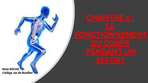 Chapitre 1 Fonctionnement De L Organisme Et Effort Physique