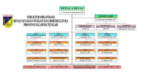 STRUKTUR ORGANISASI DINAS TANAMAN PANGAN DAN HORTIKULTURA