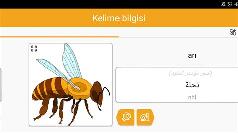 Arapça Dersleri yeni kelimeler YouTube