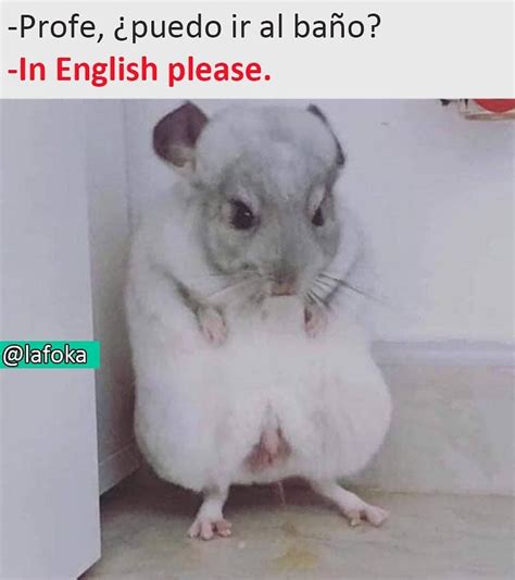 Profe puedo ir al baño In English please Memes