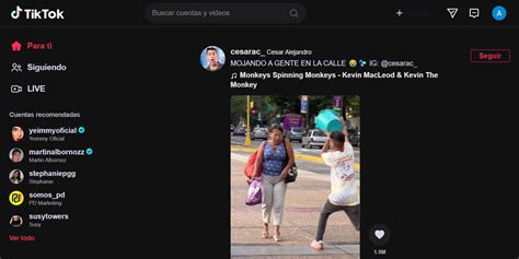 Cómo activar el modo oscuro de TikTok en PC