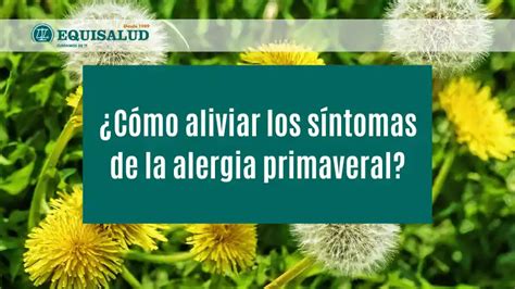 Cómo aliviar los síntomas de la alergia primaveral Equisalud