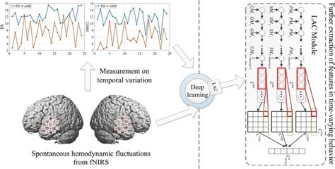 a deep learning model combining lstm and cnn was used to identify download scientific diagram