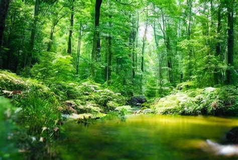 IQの高い人低い人の特徴 IQの高め方を解説 cobarublog