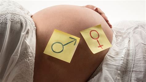 Saiba como descobrir o sexo do seu bebê através de um aplicativo