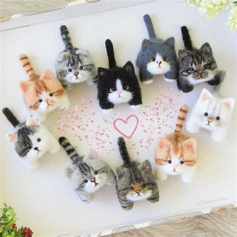 A Bunch Of Cats That Are Sitting In A Circle On Top Of A White Board