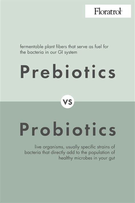 Difference Between Prebiotics And Probiotics Explained