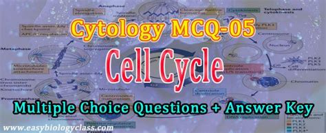 Cytology MCQ On Cell Cycle Regulation Easy Biology Class