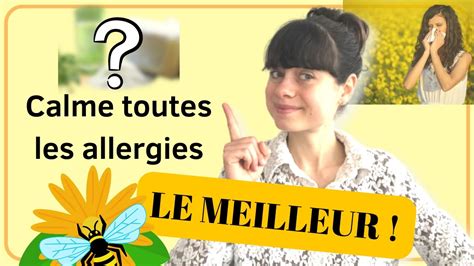 Le Meilleur Antihistaminique Naturel Efficace Contre Les Allergies