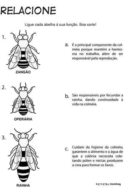 ABELHAS 50 ATIVIDADES E DESENHOS 03 DE OUTUBRO DIA DA Abelha