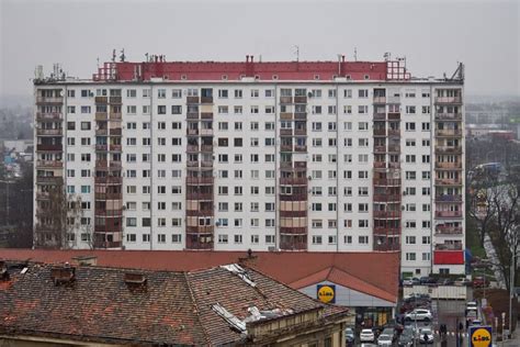 Psie Pole Jakiego Nie Widzieli Cie Zdj Cia Z Lotu Ptaka Du O Zdj