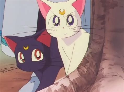 Luna And Artemis Sailor Moon Wallpaper Sailor Moon Cat Sailor Moon Usagi