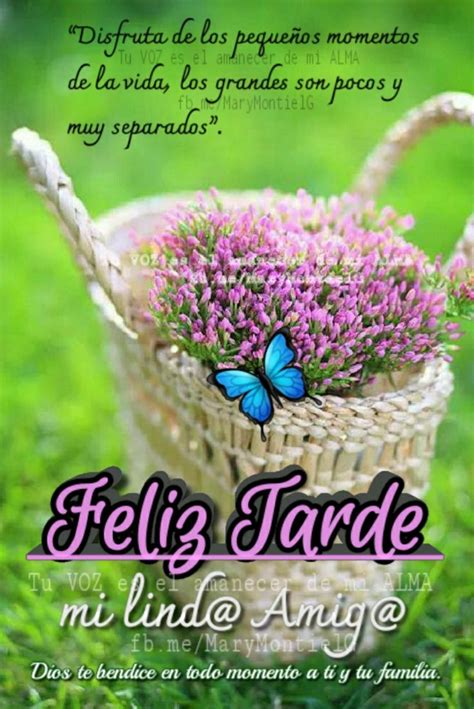 Feliz Tarde Tarjeta De Buenas Tardes Buenas Tardes Hermosa Saludos