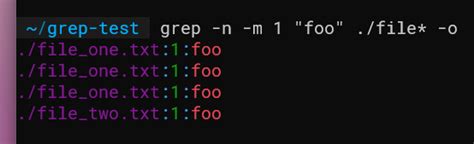how to print the first match and stop with grep