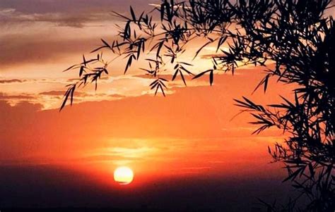 Chia Sẻ 109 hình ảnh thiên nhiên buồn đẹp gửi gắm nỗi lòng