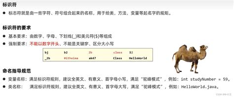 java基础语法，注释、字面量、变量、数据类型、关键字、标识符 java字面量后缀 csdn博客