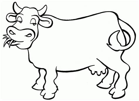 30 Desenhos De Vaquinha Para Colorir Pop Lembrancinhas