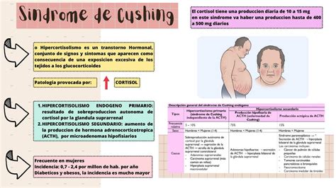 Sindrome De Cushing Nicolle Rojas UDocz