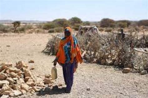 Qaramada Midoobay Oo War Ka Soo Saartay Xaaladda Abaarta Ee Geeska Afrika