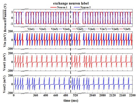 simulation results of the memristor based r stdp learning in the snn of download scientific