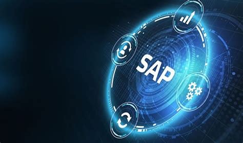 Qué es el SAP y Para qué Sirve Página 24