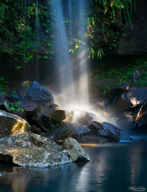 Curtis Falls Mt Tamborine Qld Wayne Folan Flickr