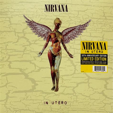 Nirvana In Utero 30th Anniversary Turntable Guy